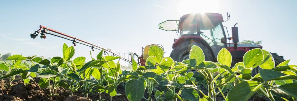 IBC Tote Services Available Now